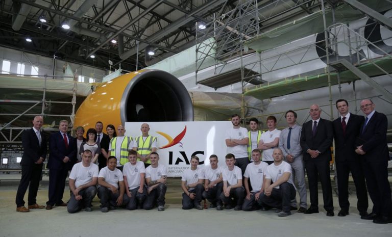 IAC Specialist Aviation Course – IAC Launches Aircraft Surface ...
